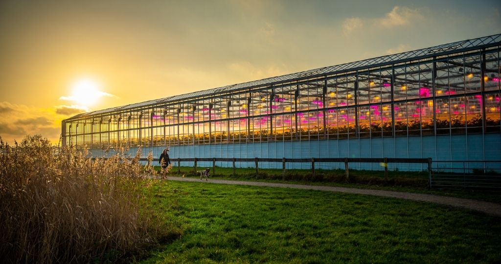 Lansingerland is Home of Horti Science - Gemeente Lansingerland